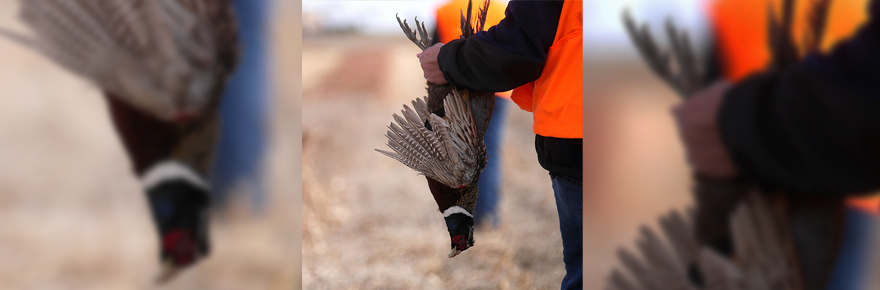 Hunting Colorado’s State Parks - Colorado Outdoors Online