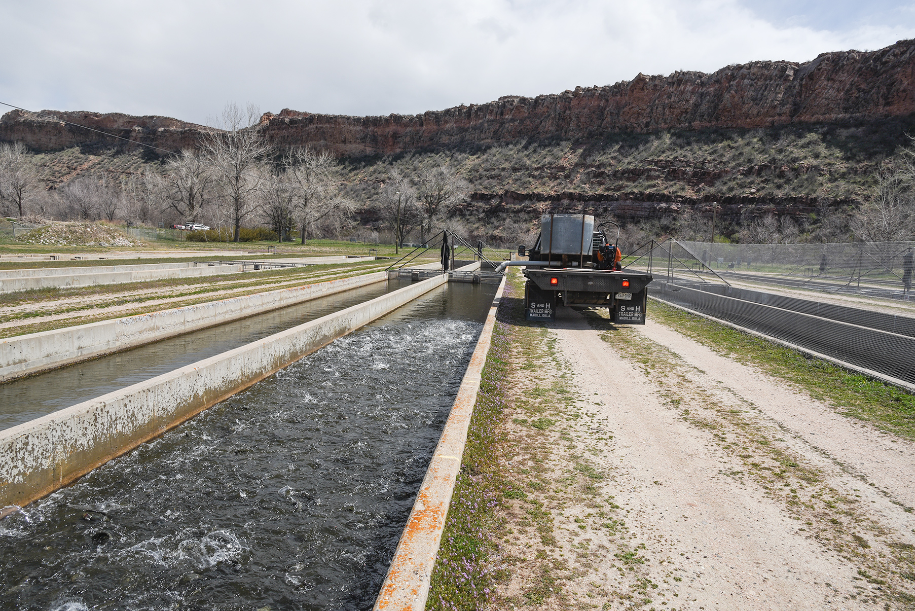 Hands-On at the Hatchery - Colorado Outdoors Online
