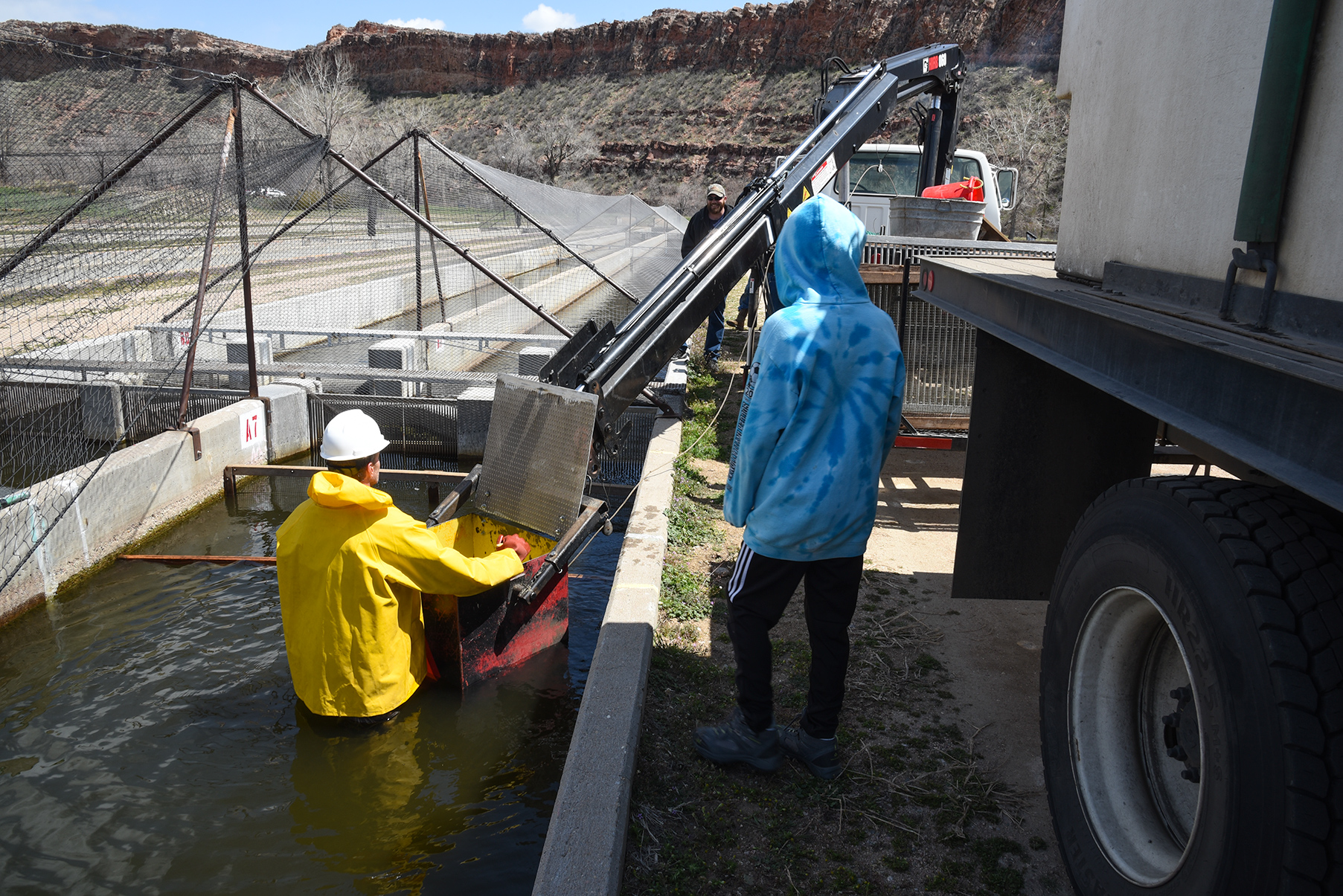 Hands-On at the Hatchery - Colorado Outdoors Online