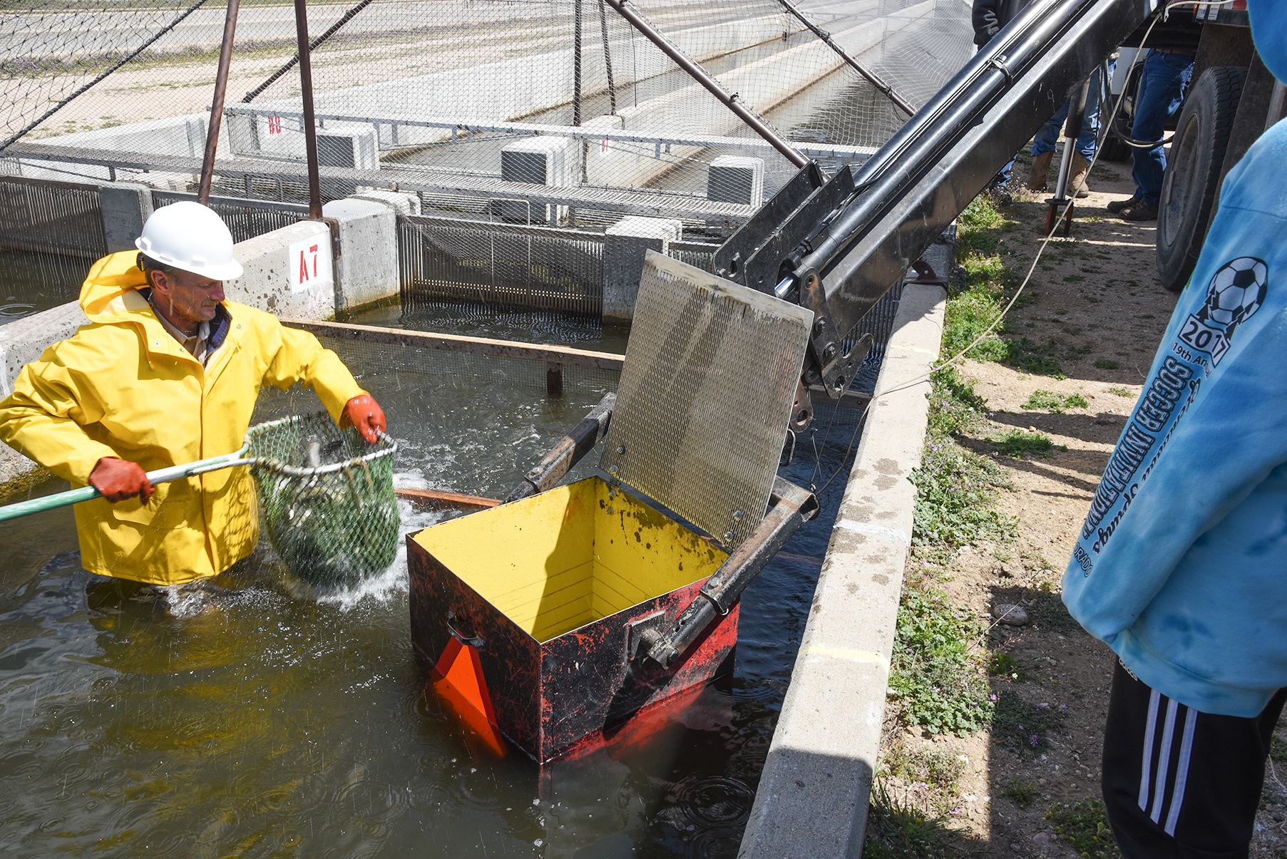 Hands-On at the Hatchery - Colorado Outdoors Online