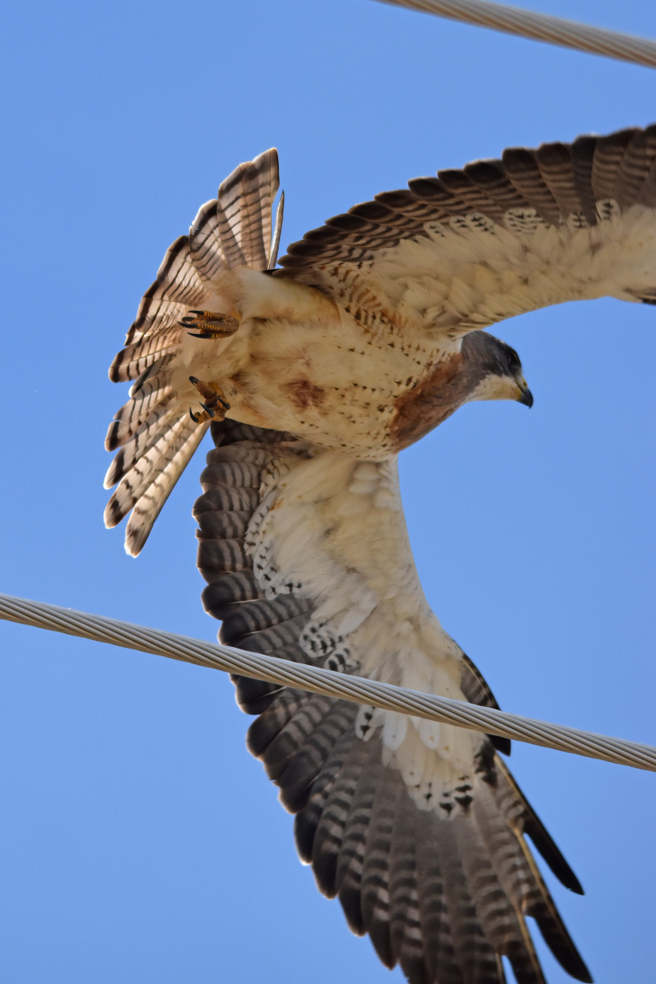 Slow Your Roll - Colorado Outdoors Online