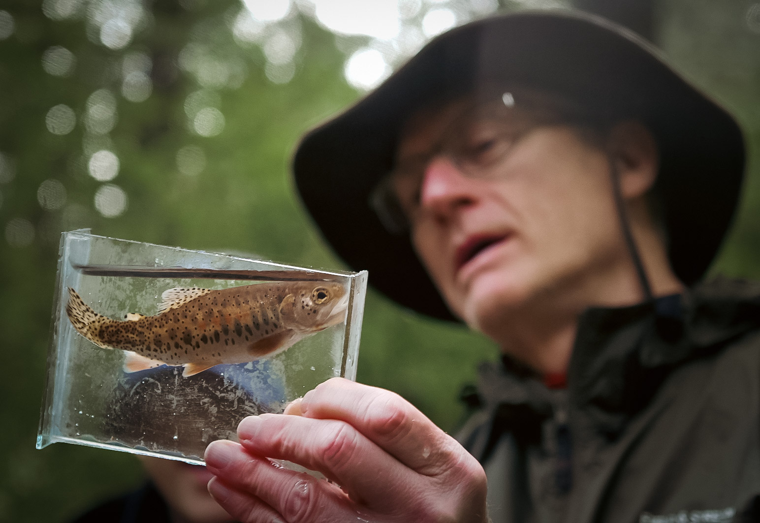 Piscatorial Picasso - Colorado Outdoors Online