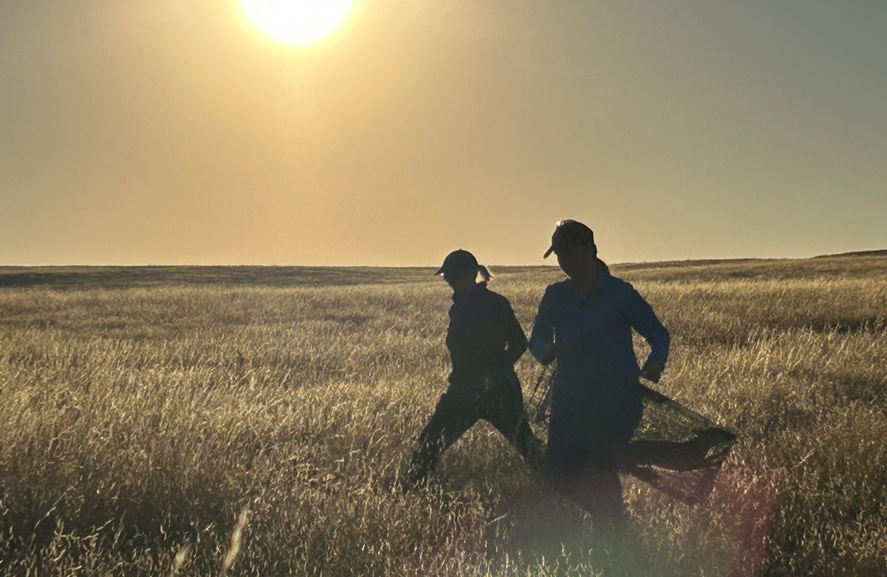 Swift Fox Conservation Project Update - Colorado Outdoors Online