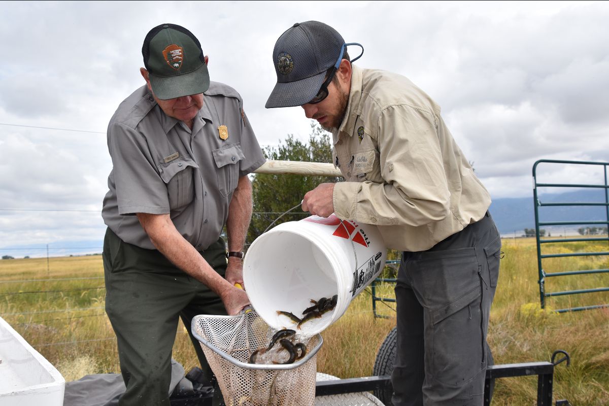 Partnership Restores Fish to Historic Habitat - Colorado Outdoors Online