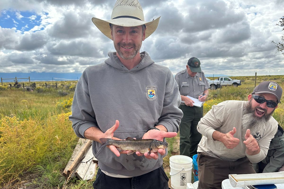 Partnership Restores Fish to Historic Habitat - Colorado Outdoors Online