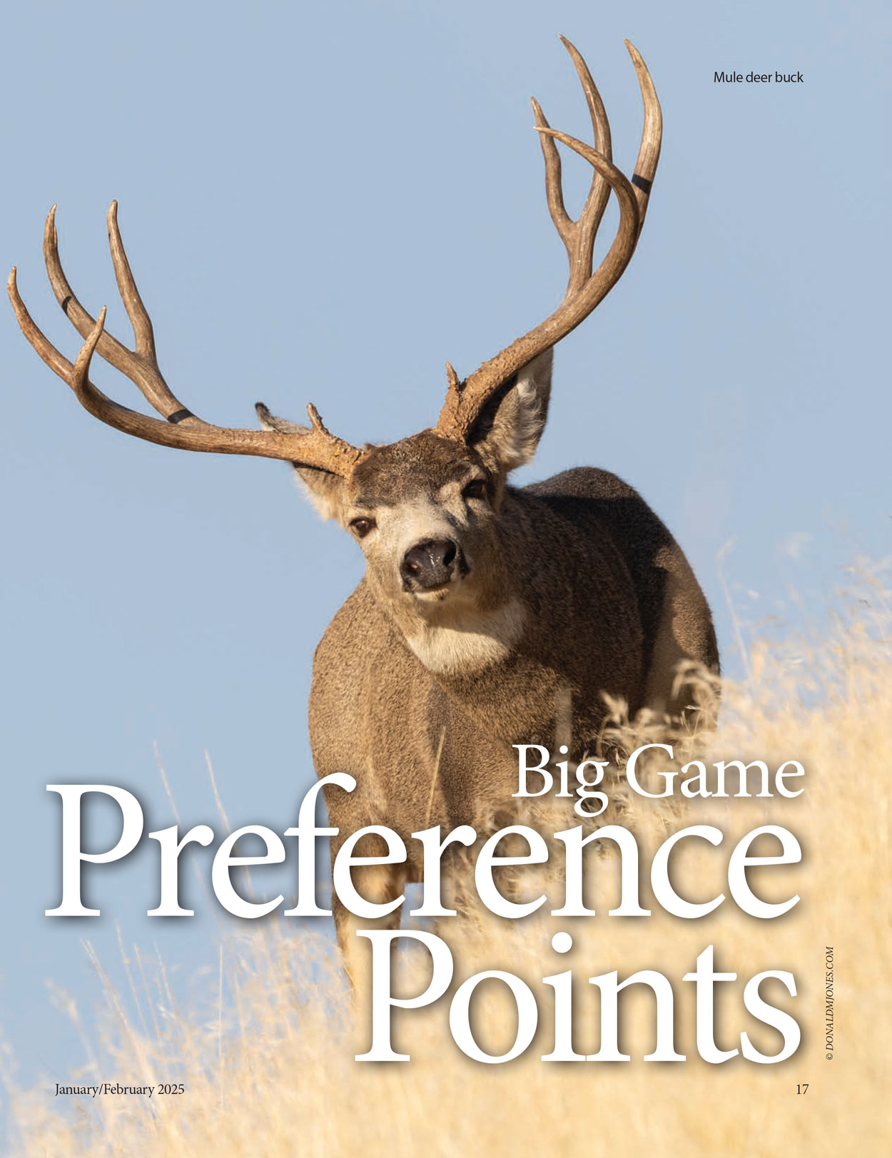 2025 Colorado Outdoors Annual Preference Point Issue (Online Edition ...