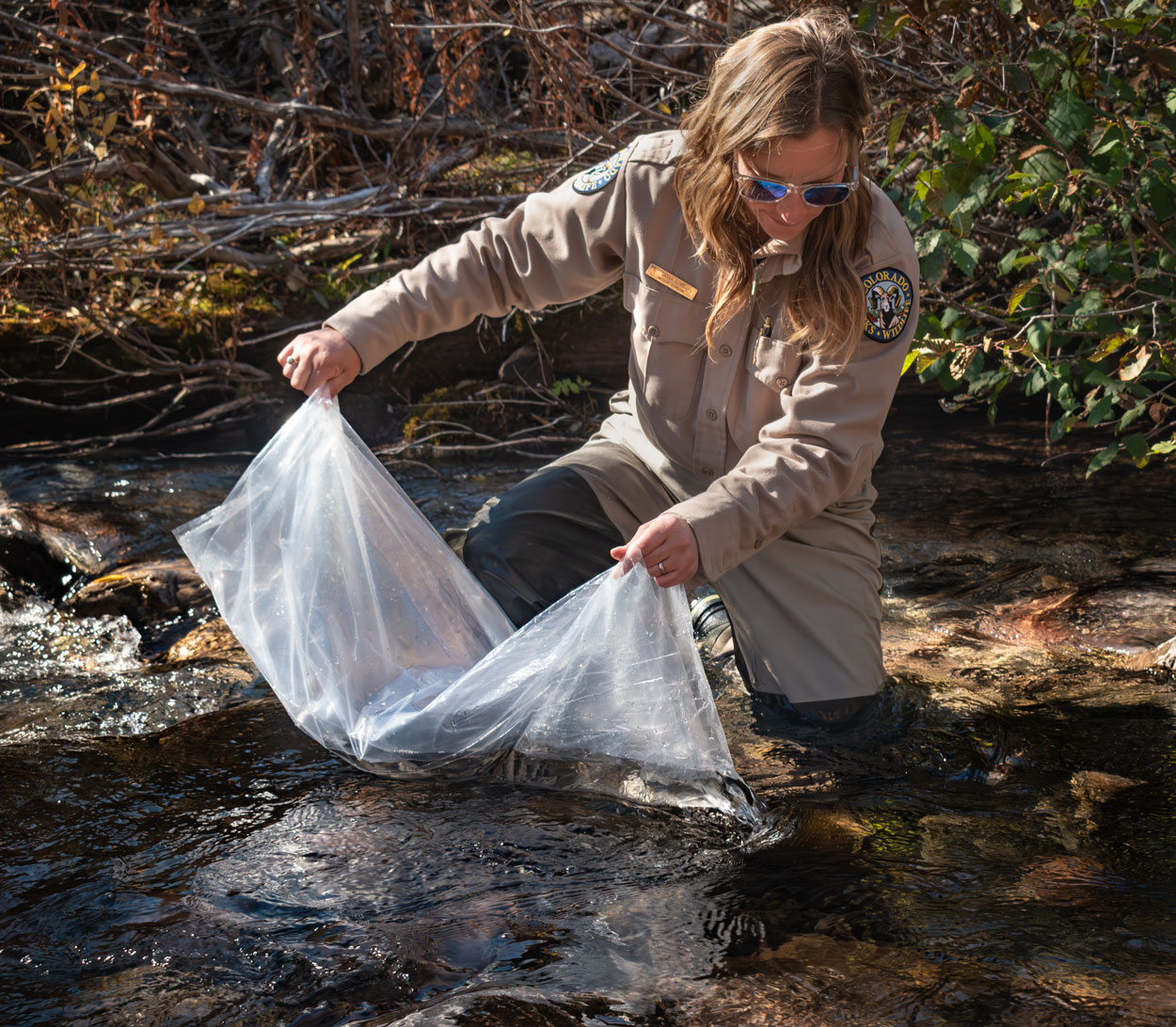 HatcHERy — the Women of Colorado Parks and Wildlife’s Fish Hatcheries ...