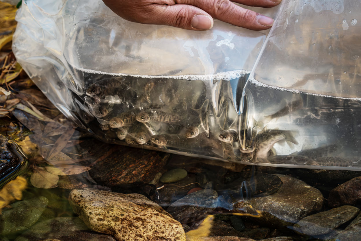 HatcHERy — the Women of Colorado Parks and Wildlife’s Fish Hatcheries ...