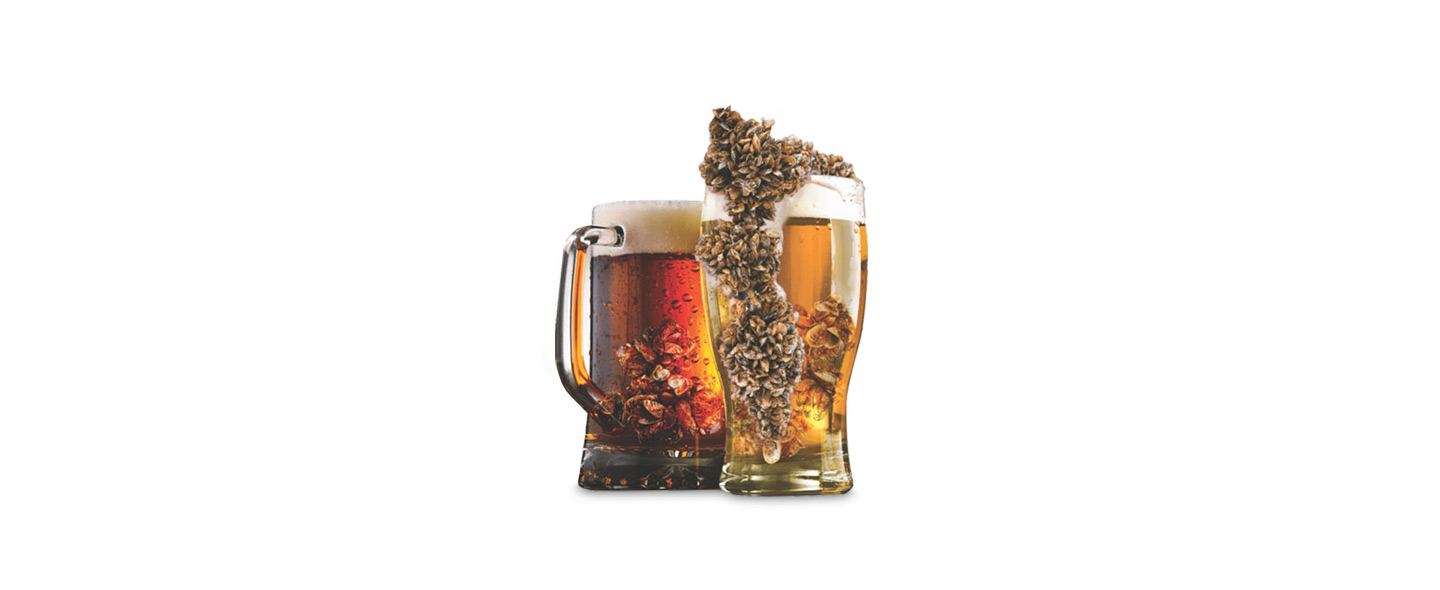 Colorado's beer industry could be impacted by Aquatic Nuisance Species ...