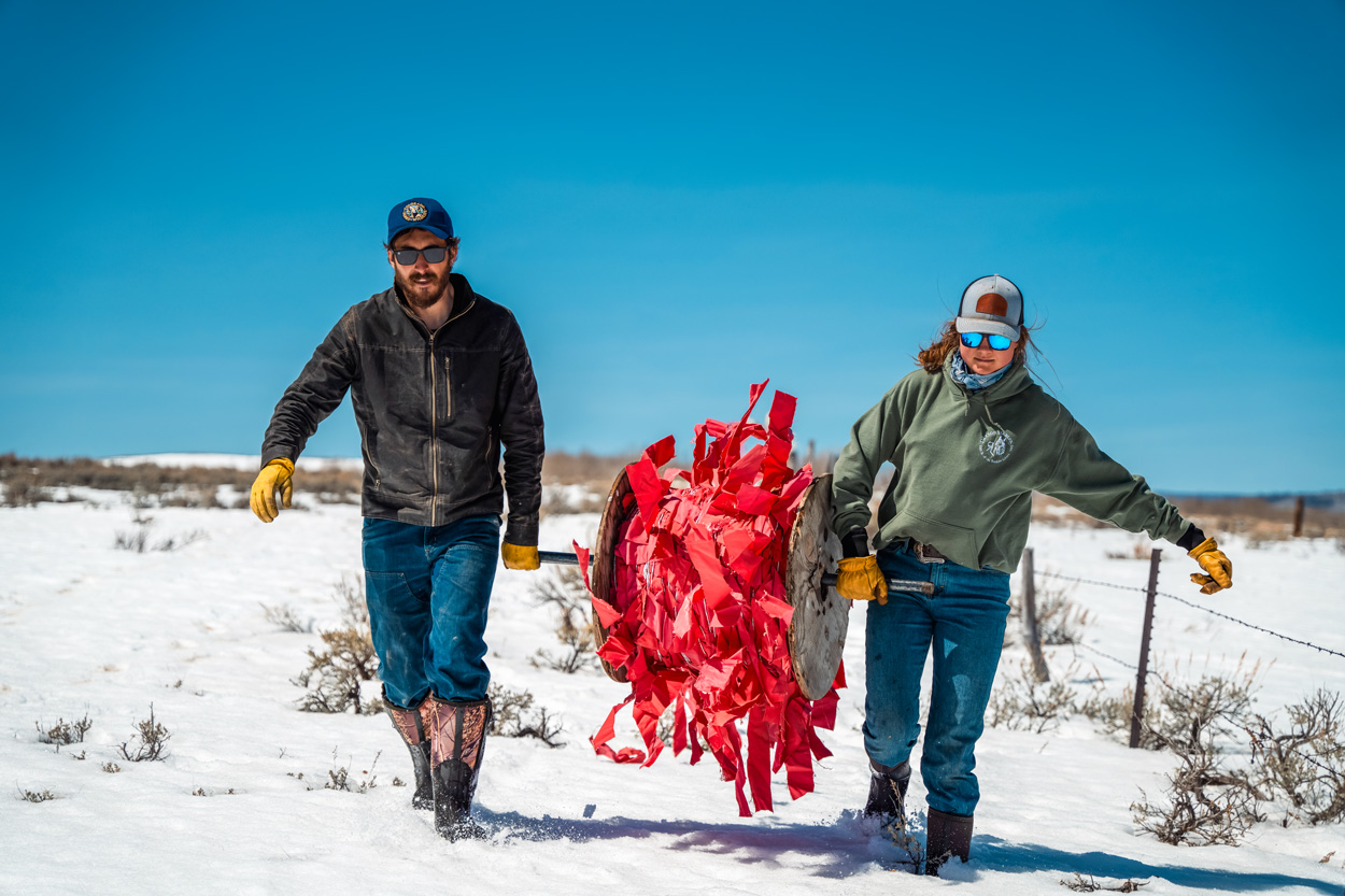 Fladry: A proven tool for minimizing wolf-livestock conflict - Colorado ...